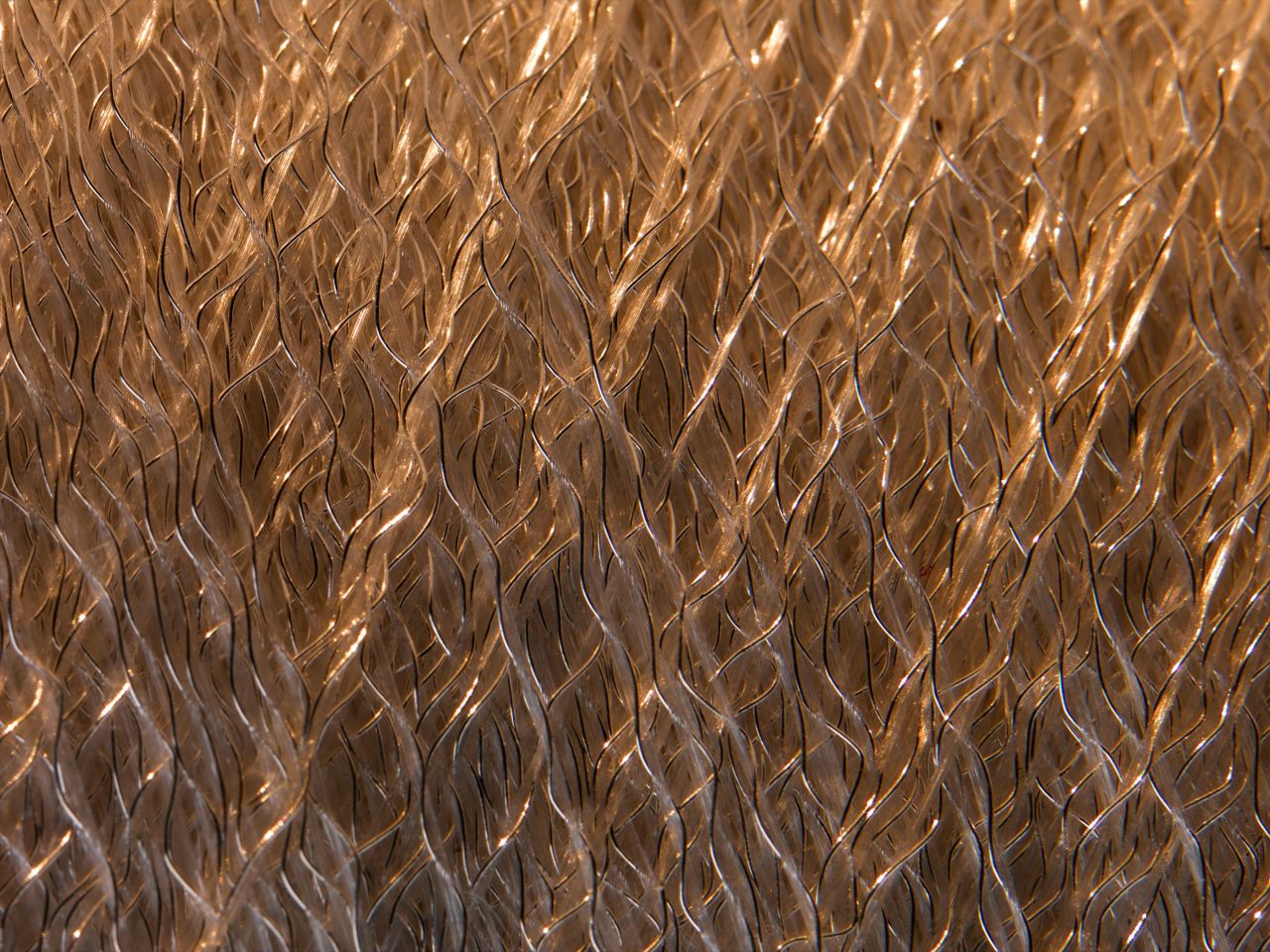 Textronics - Energy-Activated Fabrics